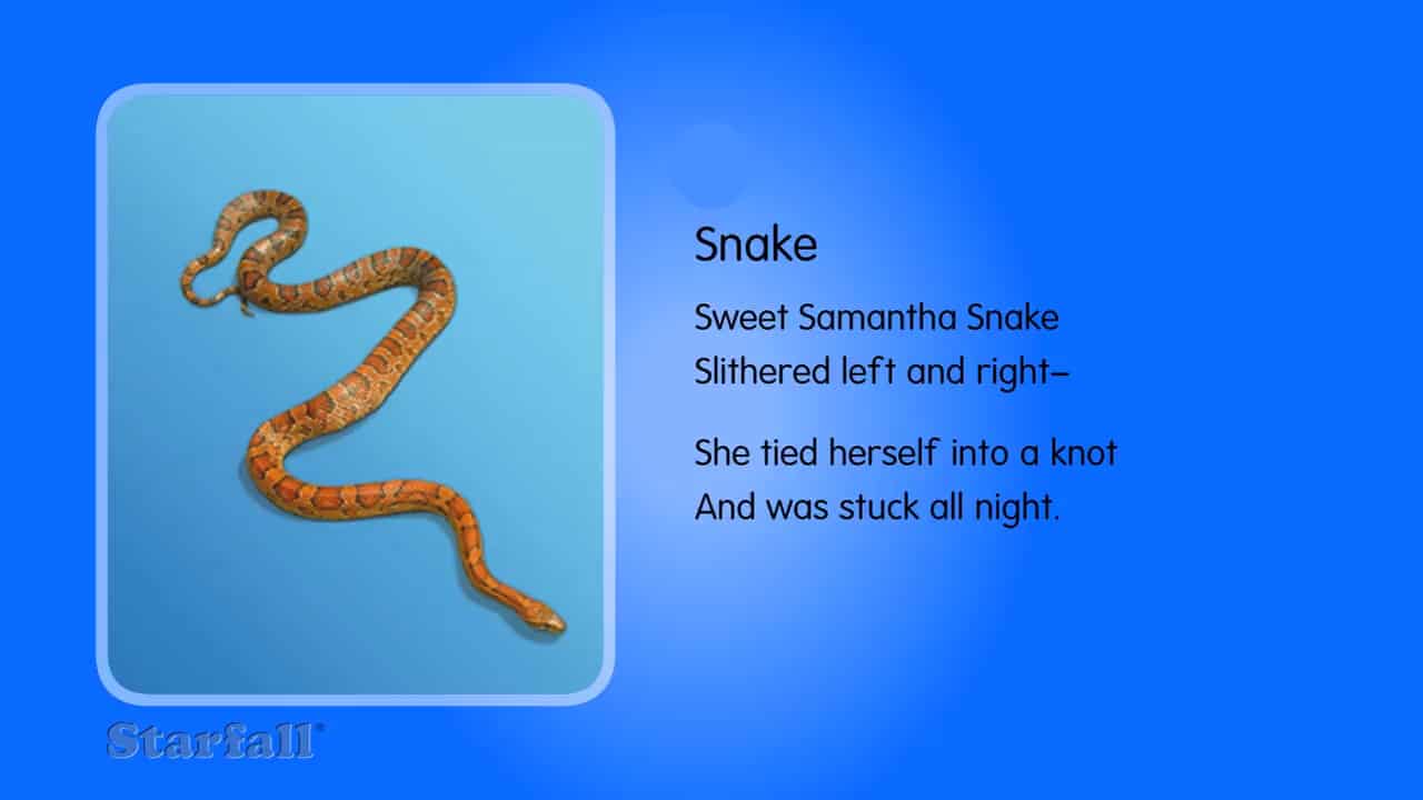 Snake - Video Activity