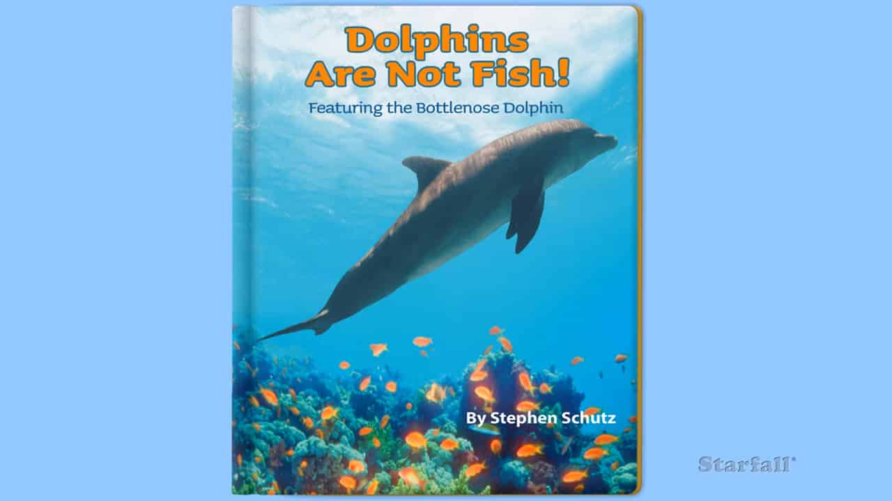 Dolphins Are Not Fish - Featuring the Bottlenose Dolphin - Enhanced ...