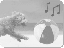 3rd Grade Math, Learning Games | Starfall